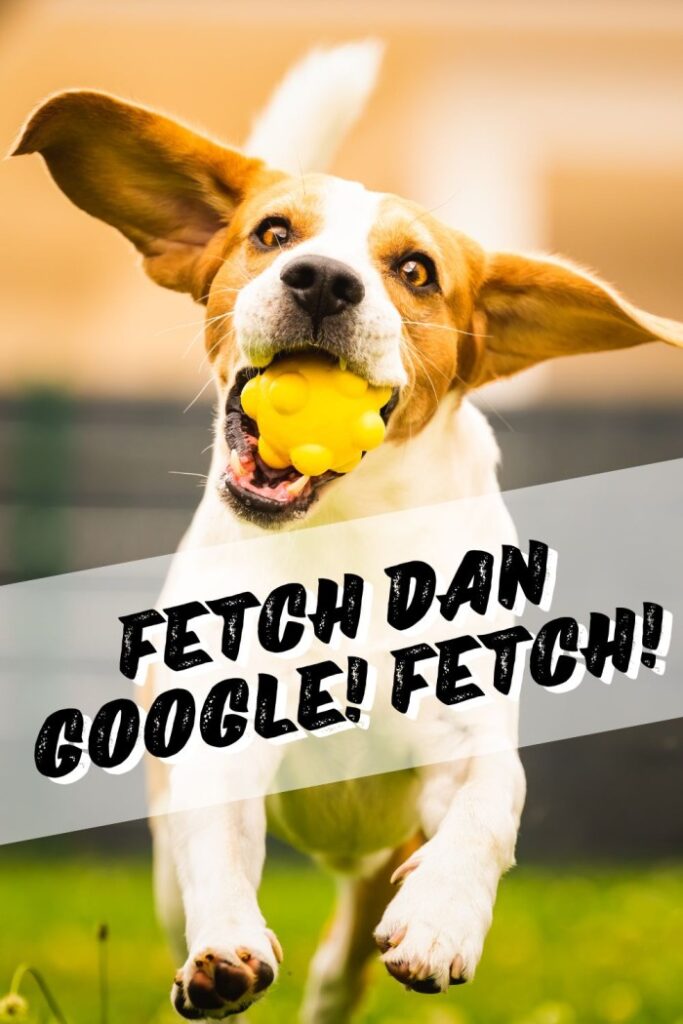 Fetch met Google: zorg dat Google je post sneller indexeert!